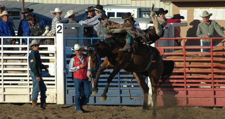 All About Fallon! - Fallon Chamber of Commerce